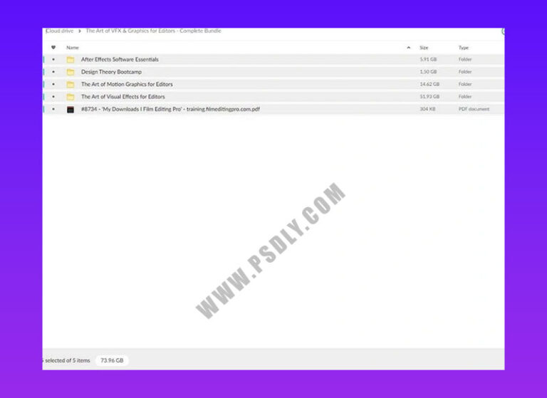 Filmeditingpro - The Art Of VFX & Graphics For Editors Complete Bundle ...