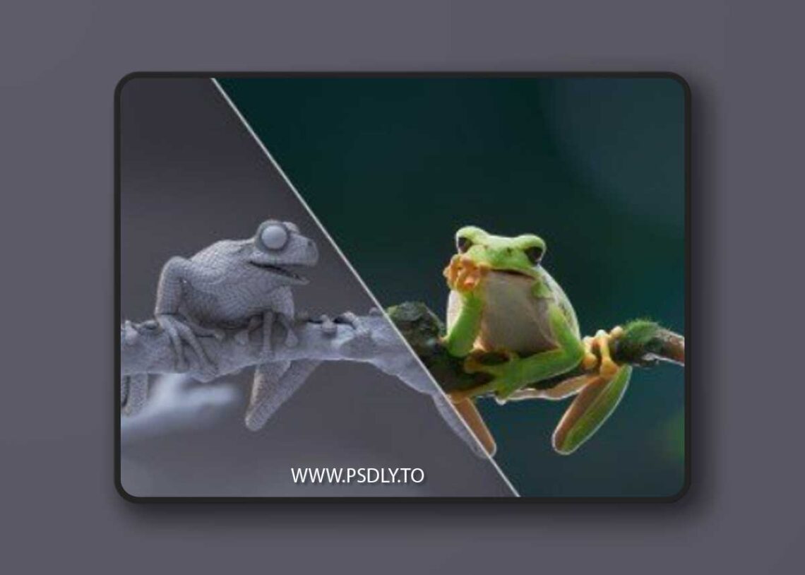 VFX Grace - Tree Frog Animated