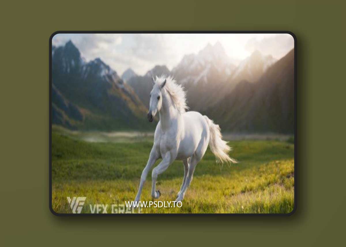 VFX Grace - White Horse Animation