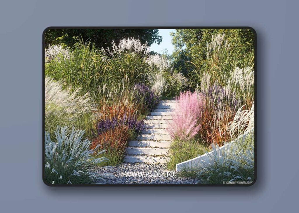 Maxtree - Plant Models Vol 9 - Blender