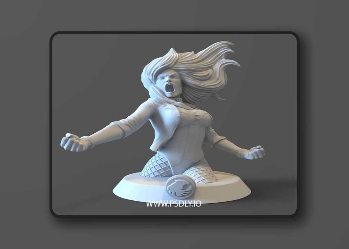 CG Pyro Digital Artist – Black Canary From DC Comics Bust – 3D Print ...