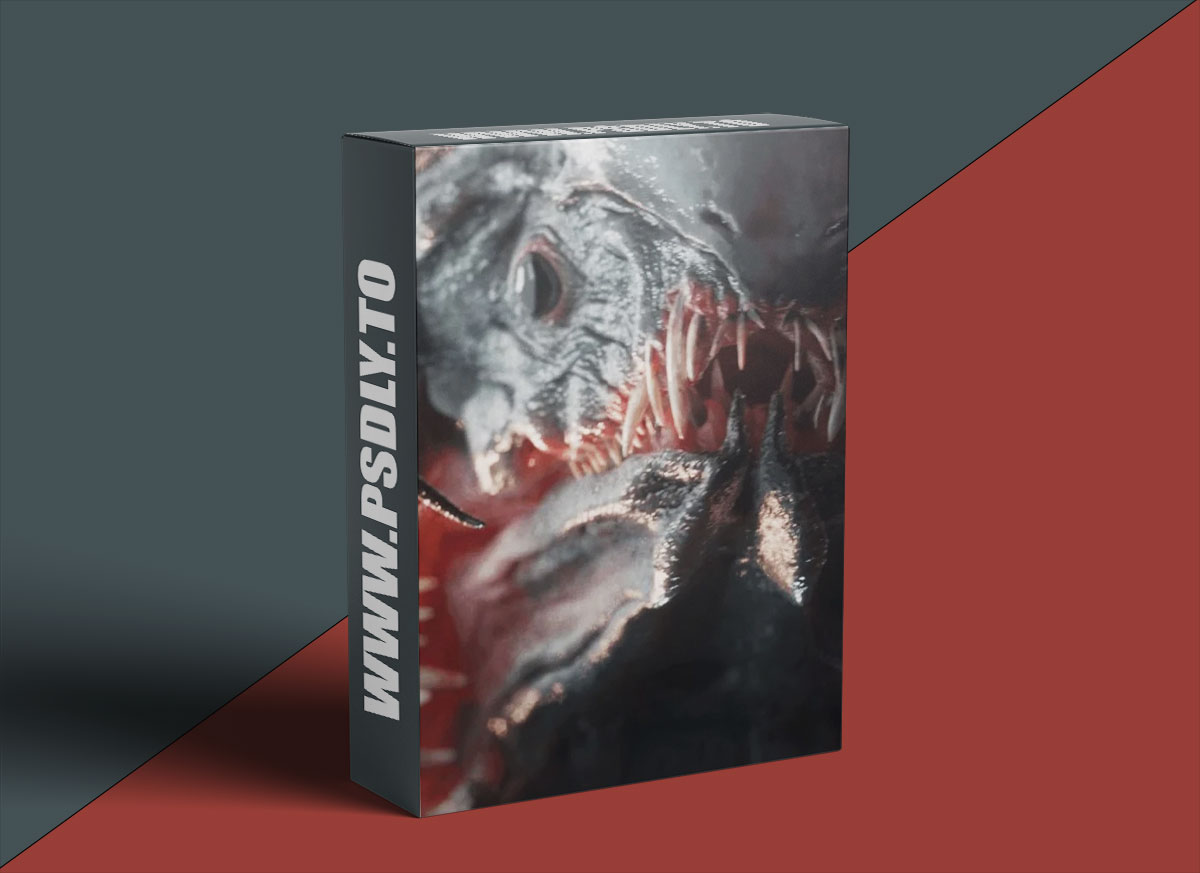 Creative Shrimp - Eevee Realistic Lighting And Rendering