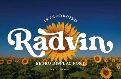 Creativemarket - Radvin – Bold Retro Display Font