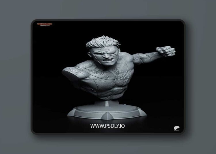 Tanuki Figures – Mark – Invincible Bust – 3D Print Model STL