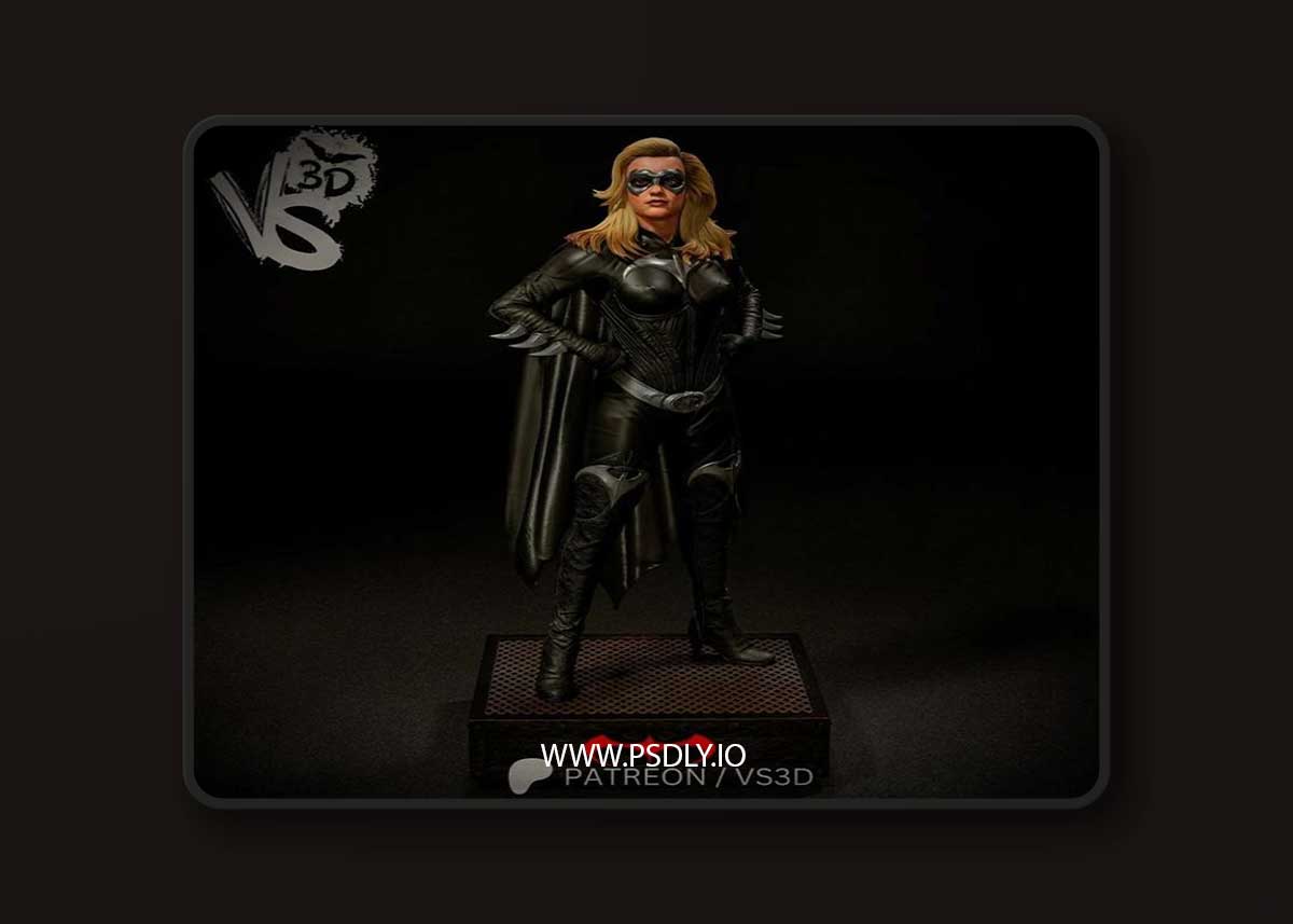 VS3D – Batgirl – Batman & Robin – 3D Print Model STL