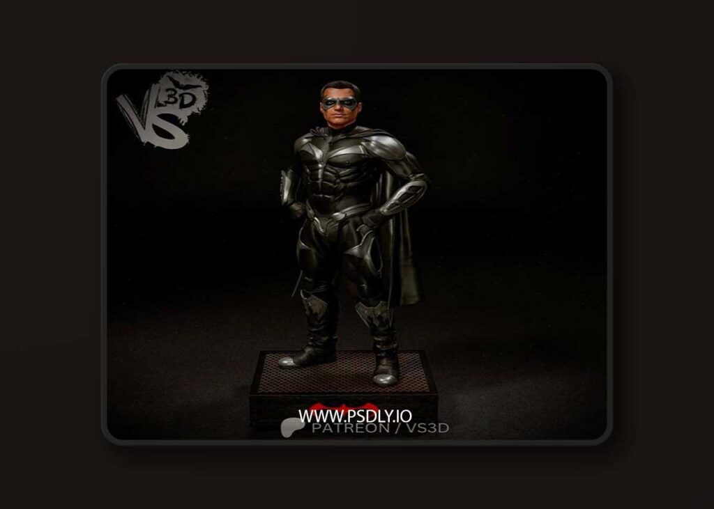 VS3D – Robin – Batman & Robin – 3D Print Model STL